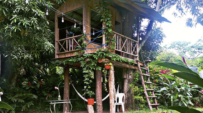 Iwanna Green Ecolodge - Paga $32.50: Estadía en Campana | OfertaSimple ...